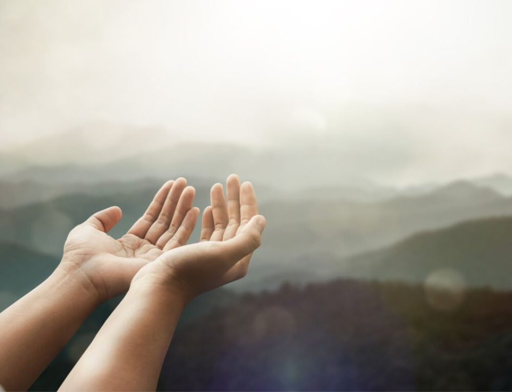 Practice Mindfulness with Animals - Mindful Methods For Life