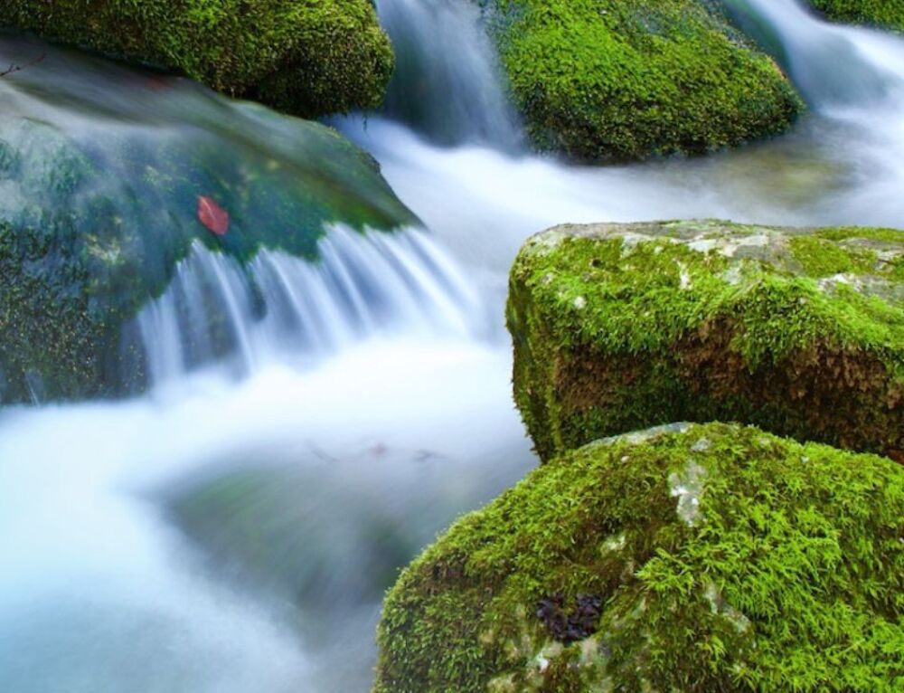 R.A.I.N. mindfulness method - Mindful Methods For Life